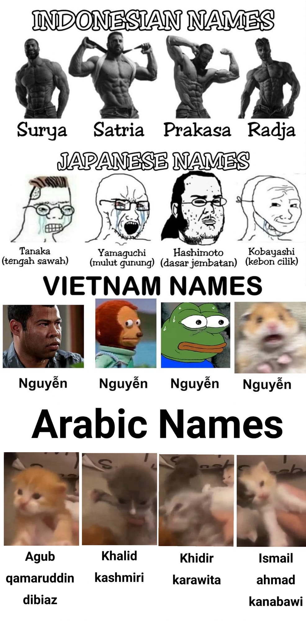 Muhammad Sumbul Image Gallery List View List View Know Your Meme