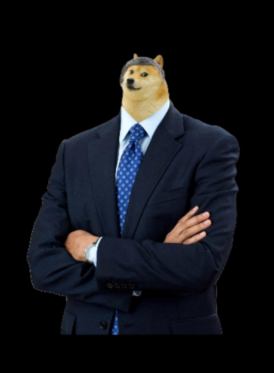 Successful Business Doge r dogelore Ironic Doge Memes Know Your Meme