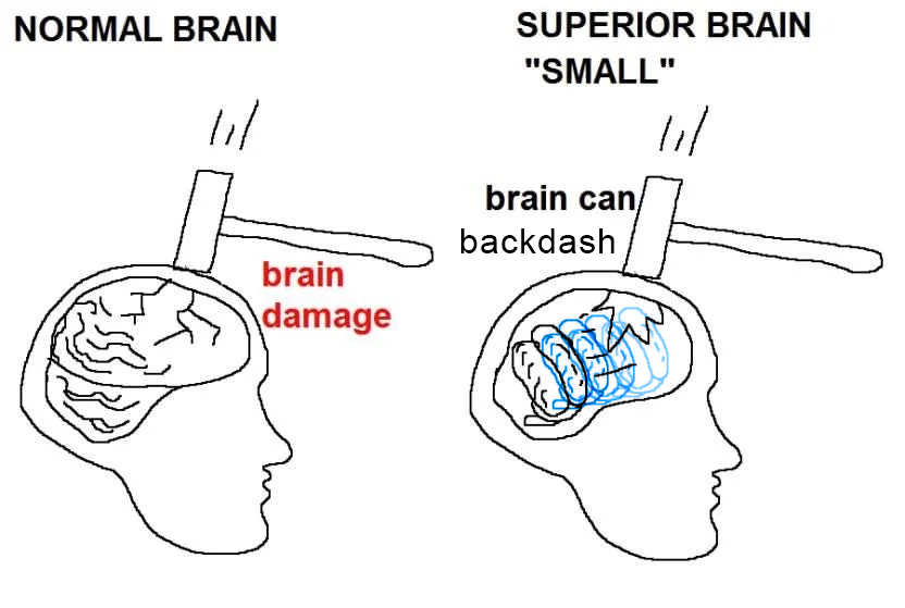 That Move Is a No-Brainer | Know Your Meme