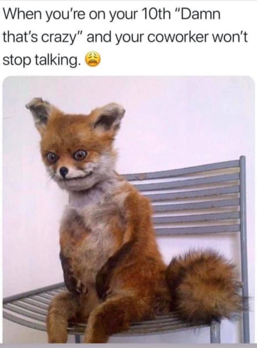 When You re On Your 10th damn That s Crazy And They Still Talking When You re On Your 10th damn That s Crazy And They Still Talking