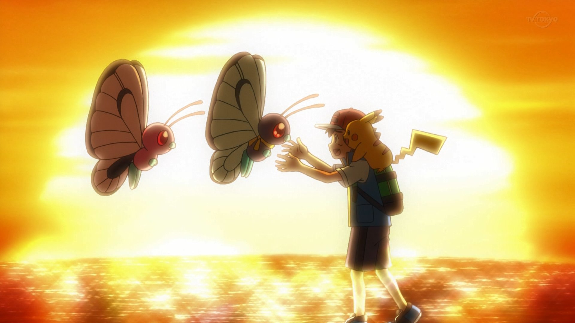 end of ending Ash reunited with his Butterfree and the Pink Butterfee ...