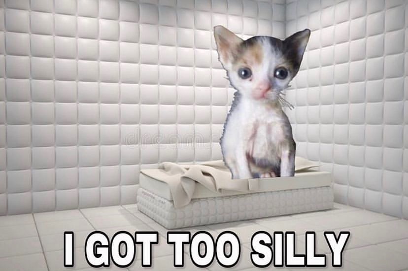 I Got Too Silly Straightjacket Meme Being Silly Too Silly Know I Got Too Silly Straightjacket Meme Being Silly Too Silly Know