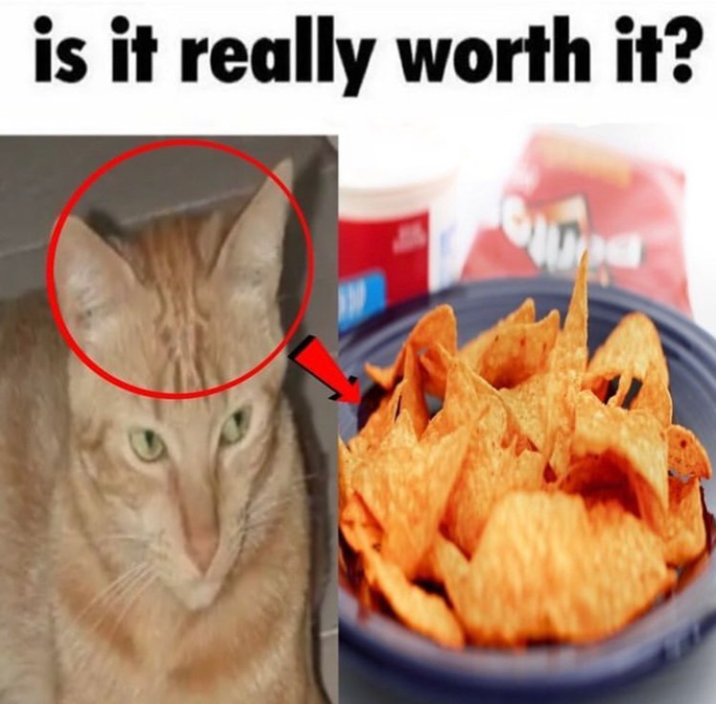 Is It Really Worth It Is It Really Worth It Know Your Meme