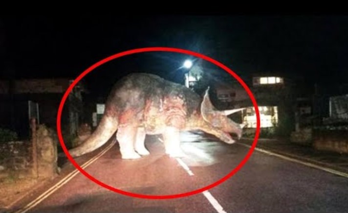 Dinosaur Red Circle Meme Red Circle Perpetrators Know Your Meme