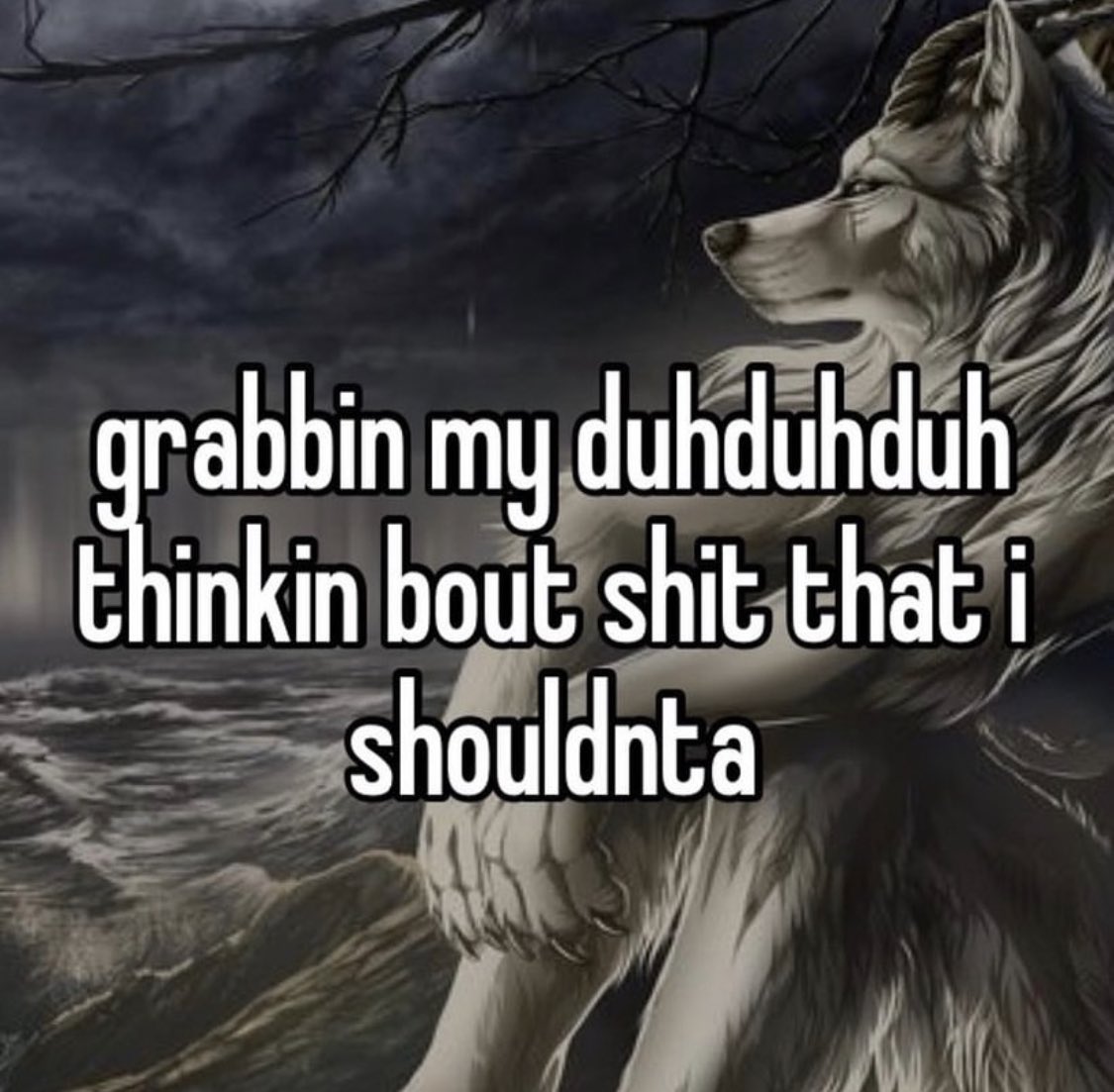 Sitting Wolf meme Sitting Wolf Know Your Meme