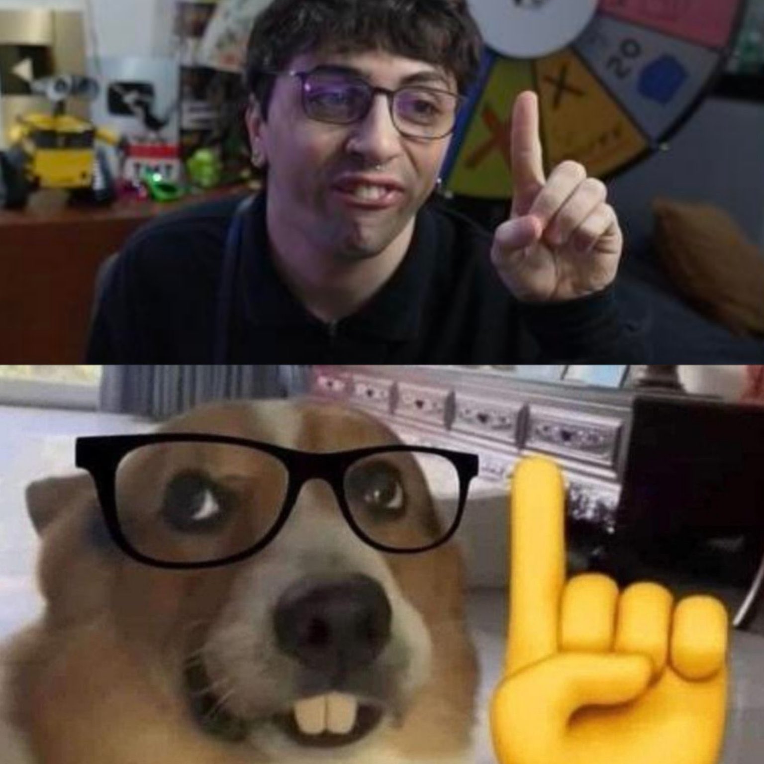  Akshually Dog Nerd Dog Know Your Meme