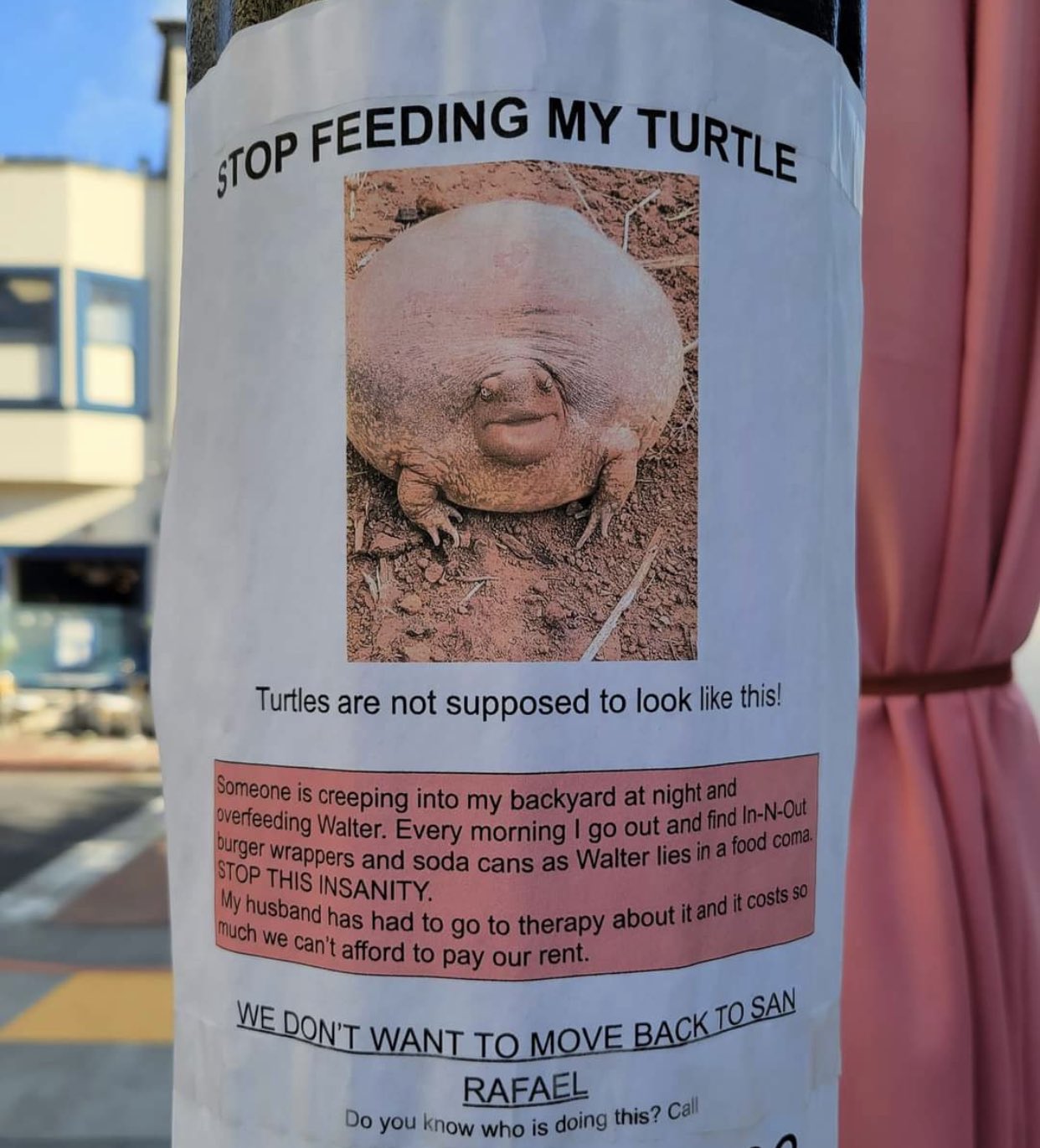 That's a frog. | Know Your Meme