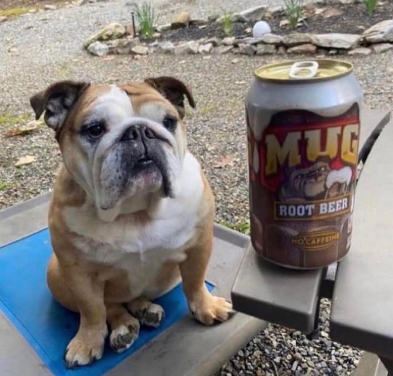 Real Life Root Beer Blessed Image Know Your Meme Real Life Root Beer Blessed Image Know Your Meme