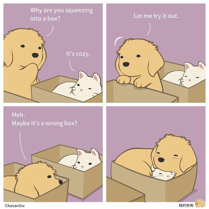 The coziest box | /r/wholesomememes | Wholesome Memes | Know Your Meme