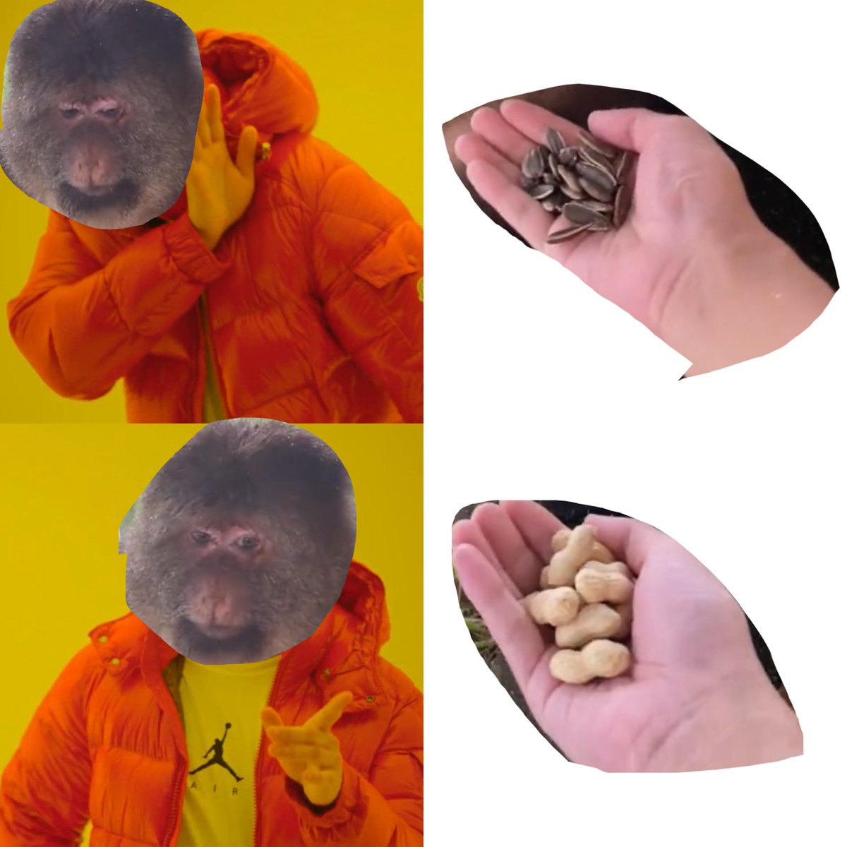 Monkey Drake | Know Your Meme