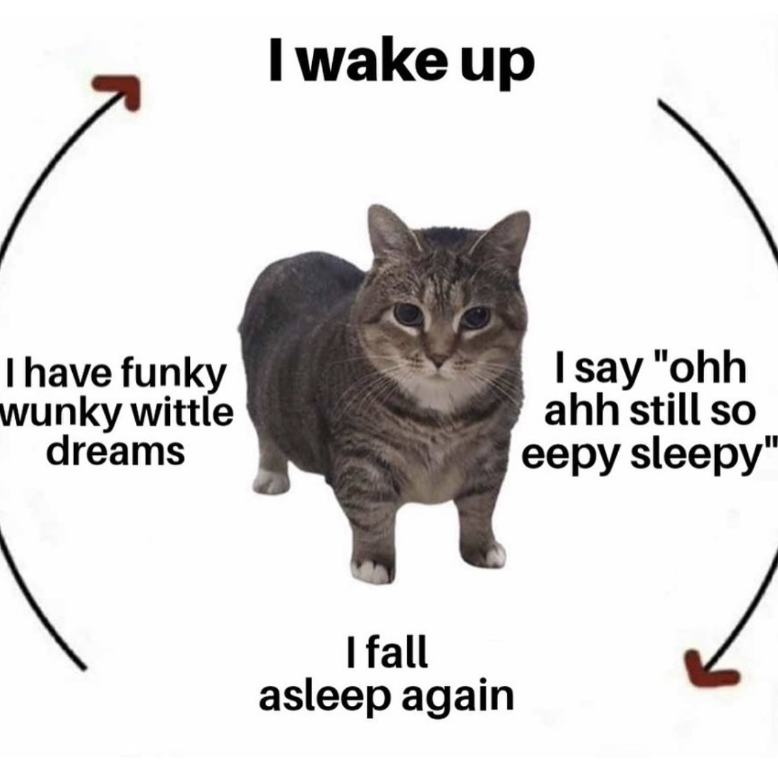 Eepy Eepy Know Your Meme
