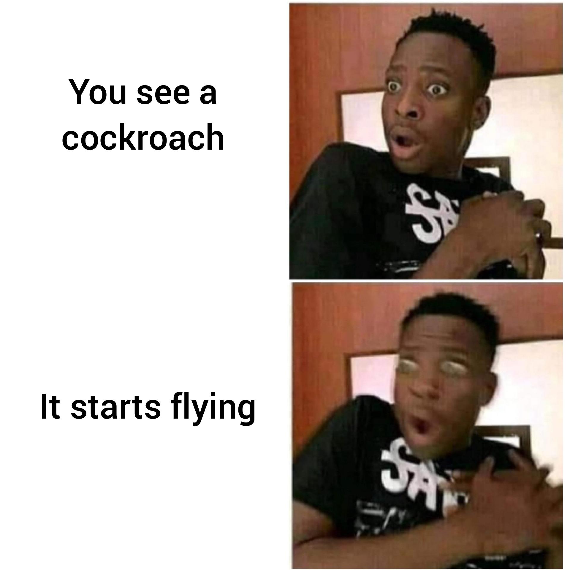 Shiver me timbers | /r/memes | Know Your Meme