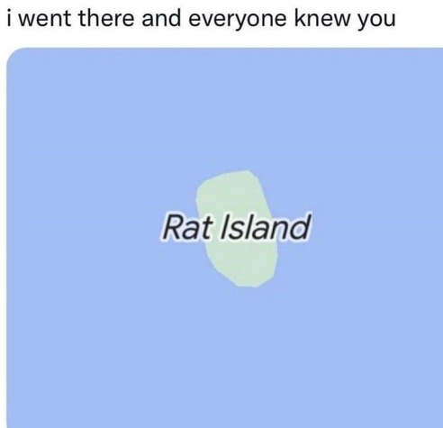 I Went To Rat Island And Everyone Knew You I Went Here And Everyone
