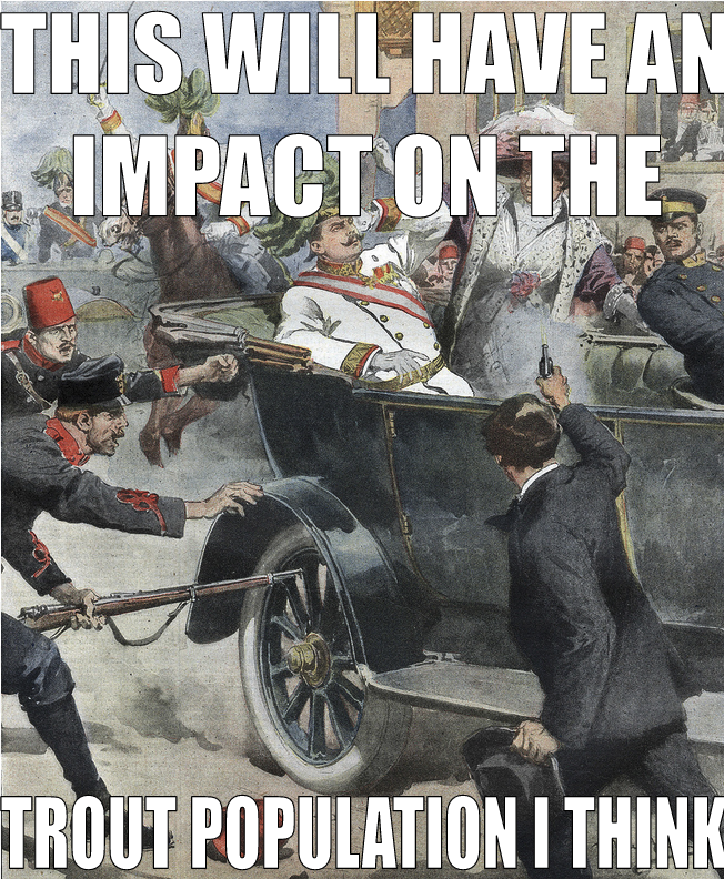 it's not unreasonable to assume that the battle of verdun affected the ...