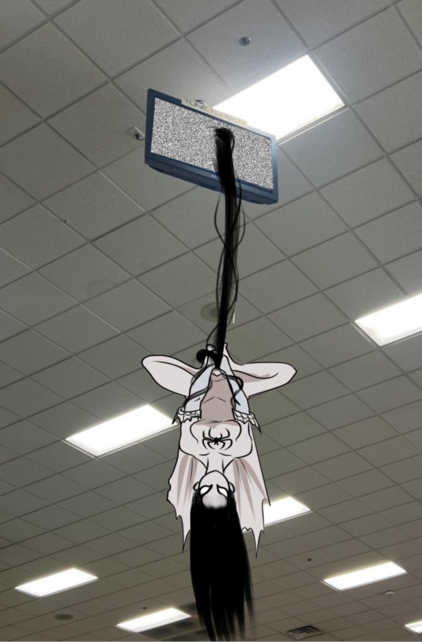 Spider-Sadako | Sadako Ceiling TV Redraws | Know Your Meme