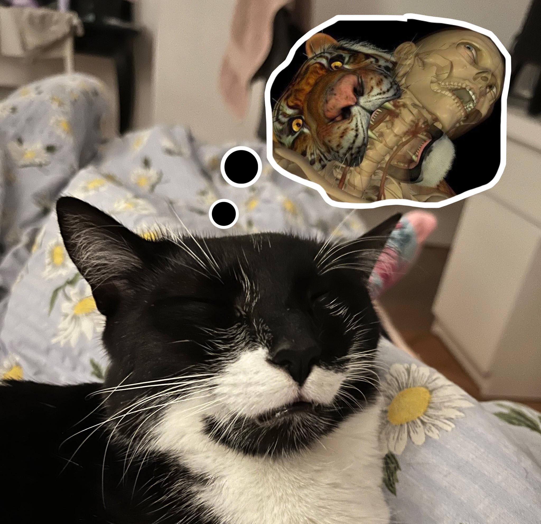 do you think he dreams of this | Tiger Neck Bite | Know Your Meme