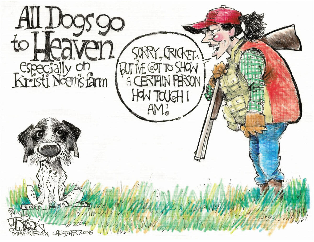 Kristi Noem Dog Commentary