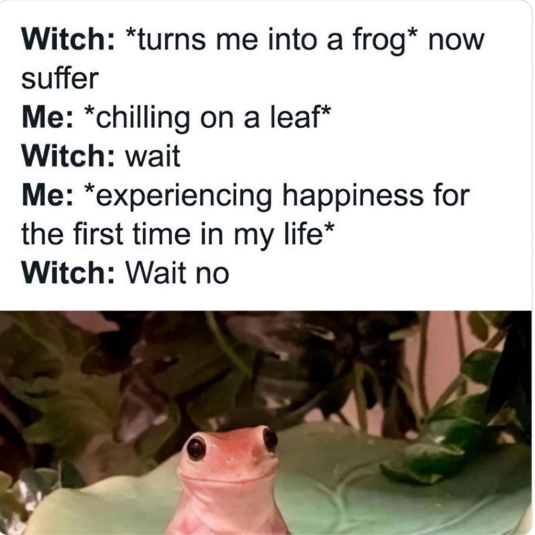 Blessed curse | Wholesome Memes | Know Your Meme