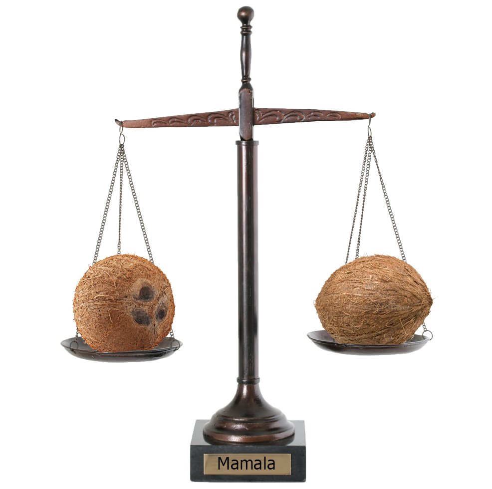 Weighing The Coconuts | Momala / Mamala | Know Your Meme