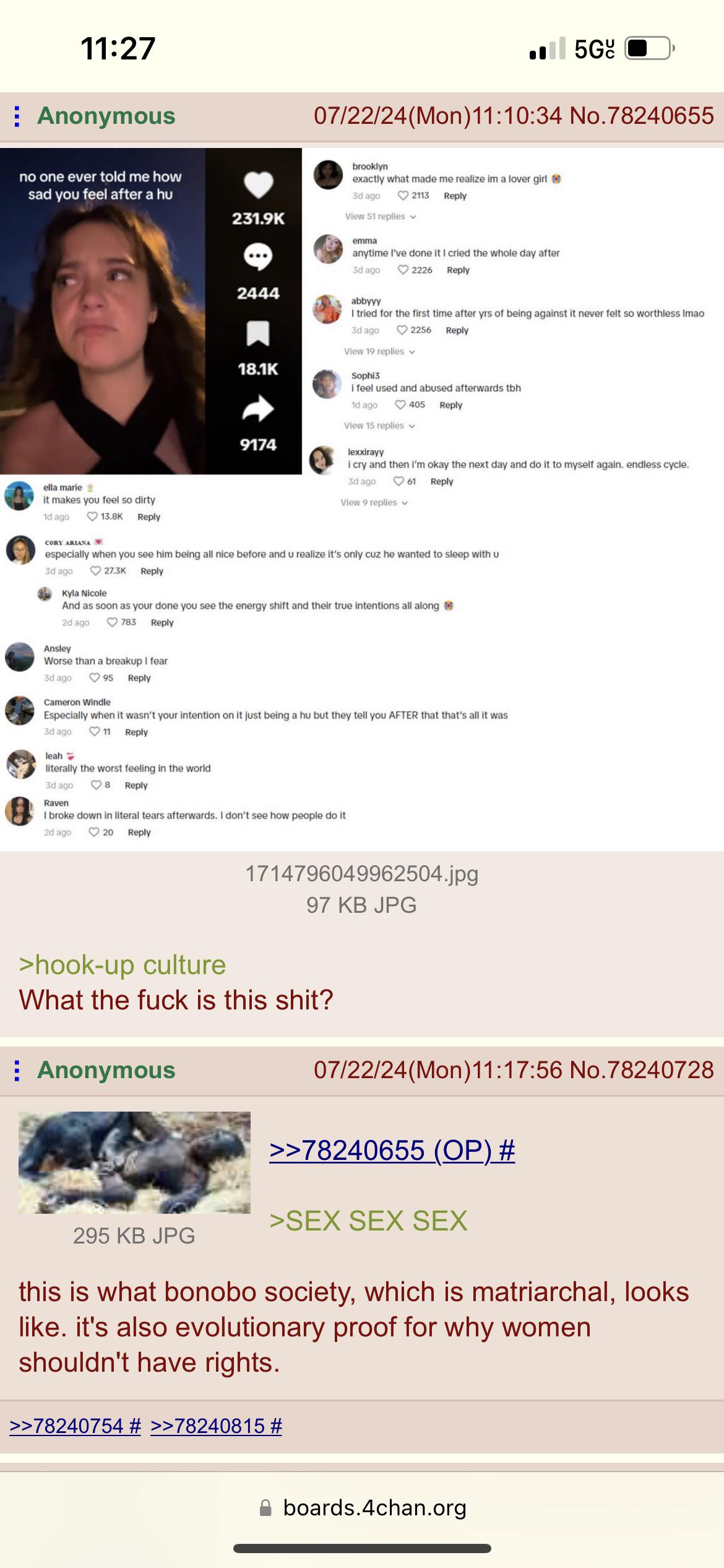 Anon appalled by hookup culture | /r/Greentext | Greentext Stories | Know Your Meme