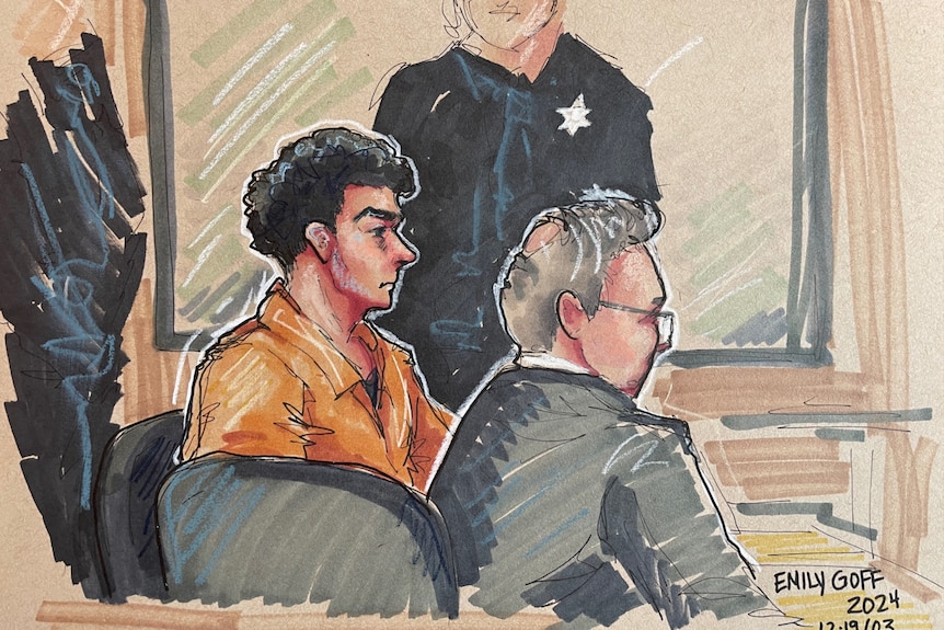 Courtroom sketch | Trial of Luigi Mangione | Know Your Meme