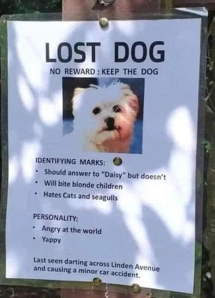 Missing | Know Your Meme