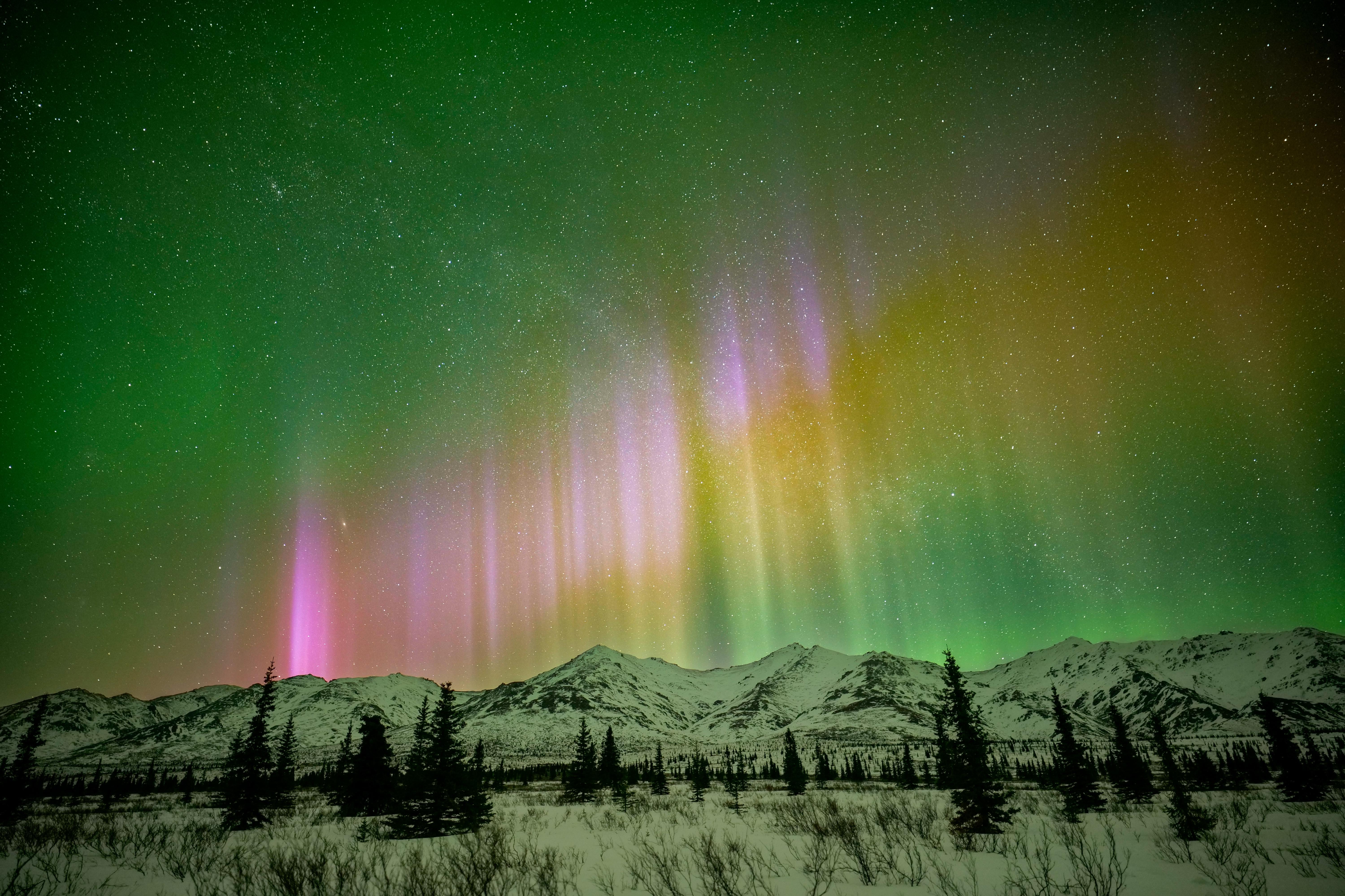 Denali National Park | Know Your Meme