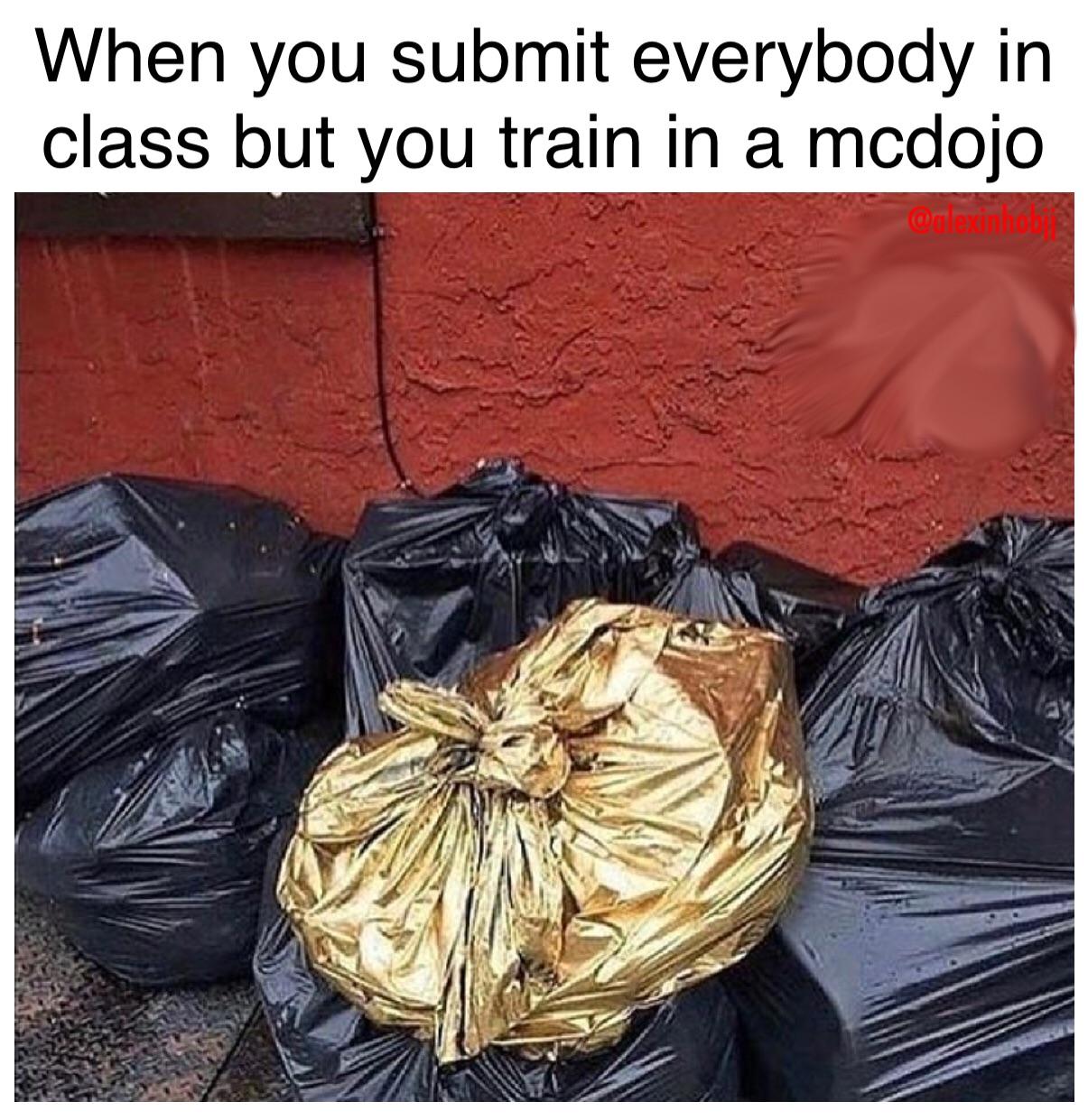 When you submit everybody in class but you train in a mcdojo | Know ...