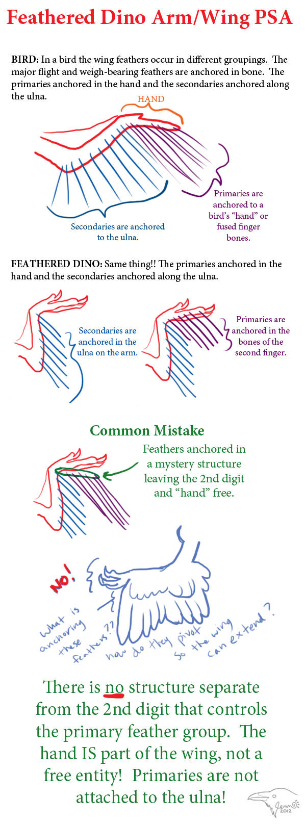 Dinosaur wing guide | Paleontology | Know Your Meme