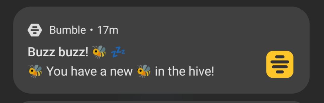 What does this notification mean? | Bumble | Know Your Meme
