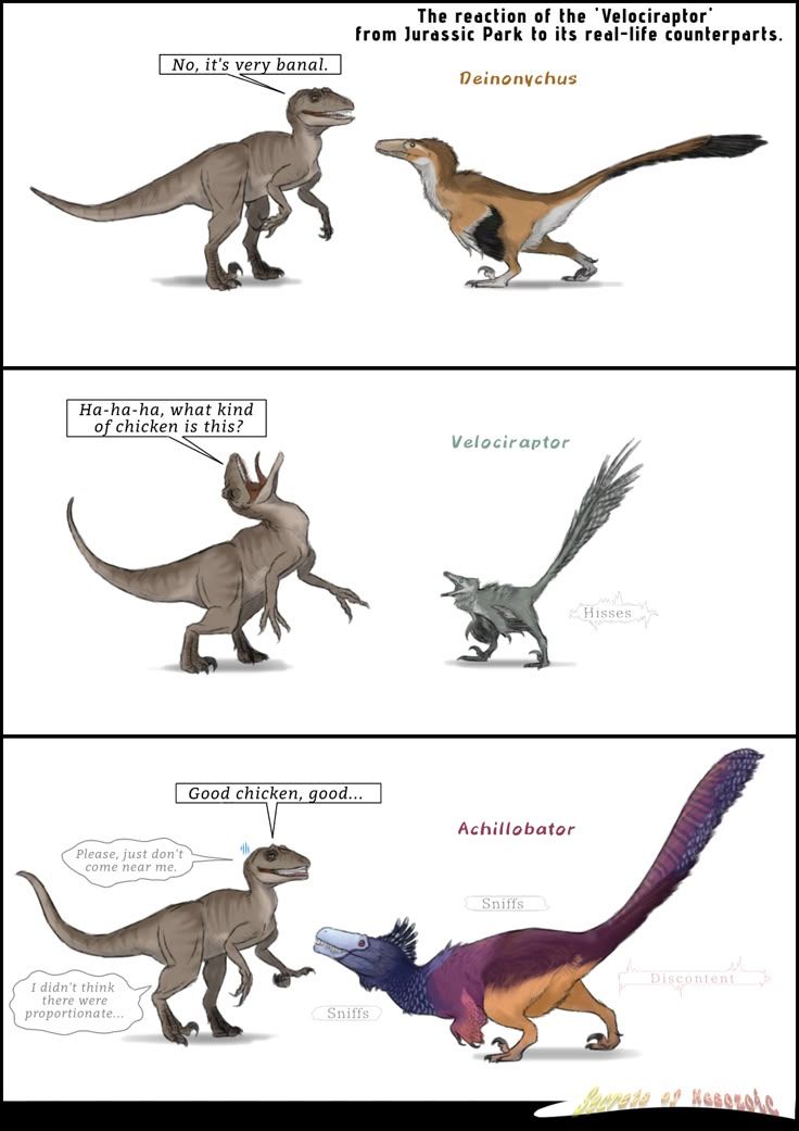 Jurassic park raptor meets real raptors | Know Your Meme