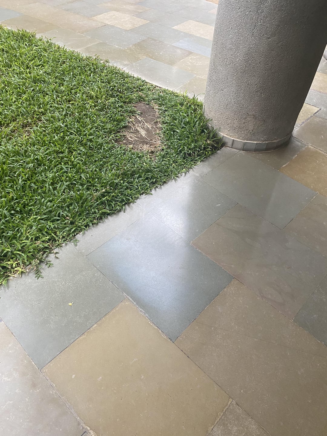 Shortest desire path ever | Know Your Meme