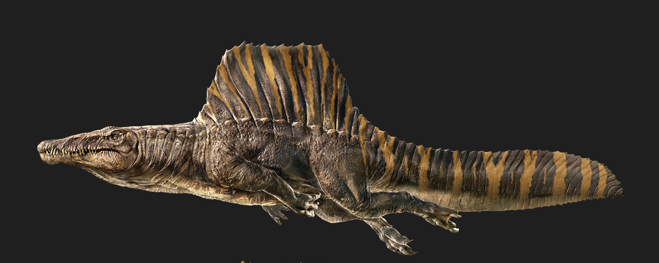 Spinosaurus: Image Gallery | Know Your Meme