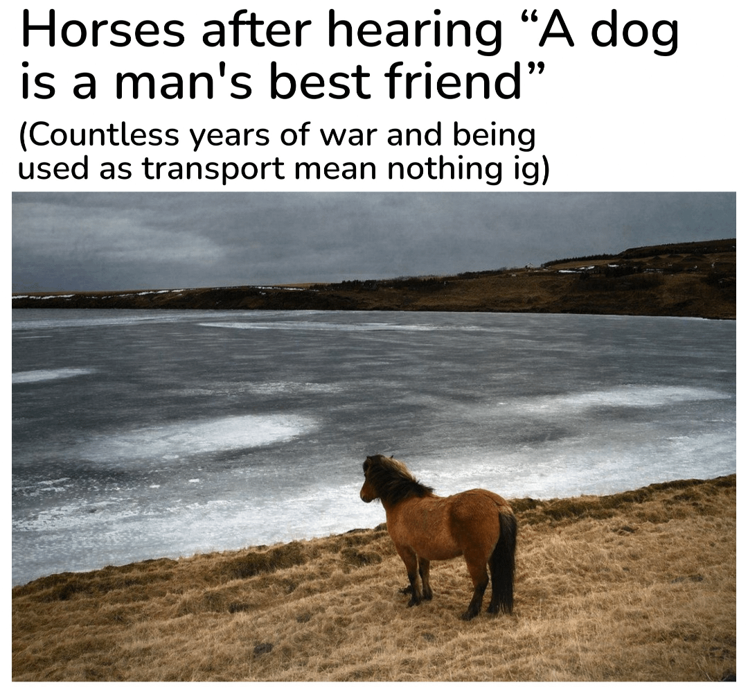 Sad horse noises | Know Your Meme