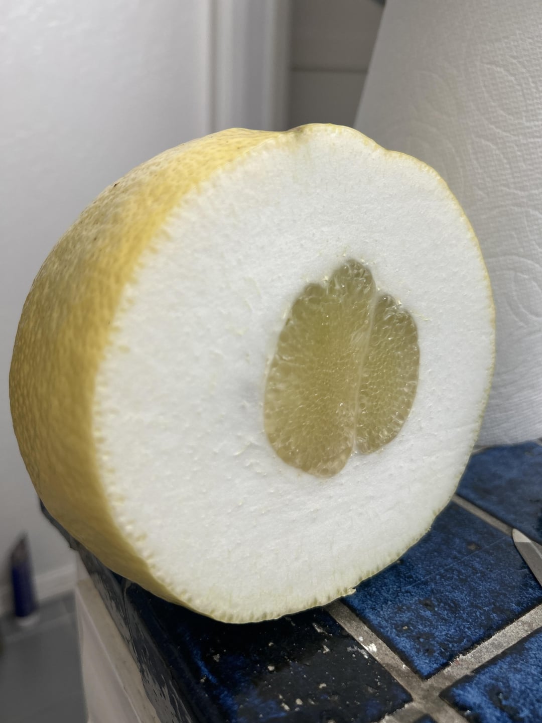 This giant lemon with just a bit of fruit | Know Your Meme