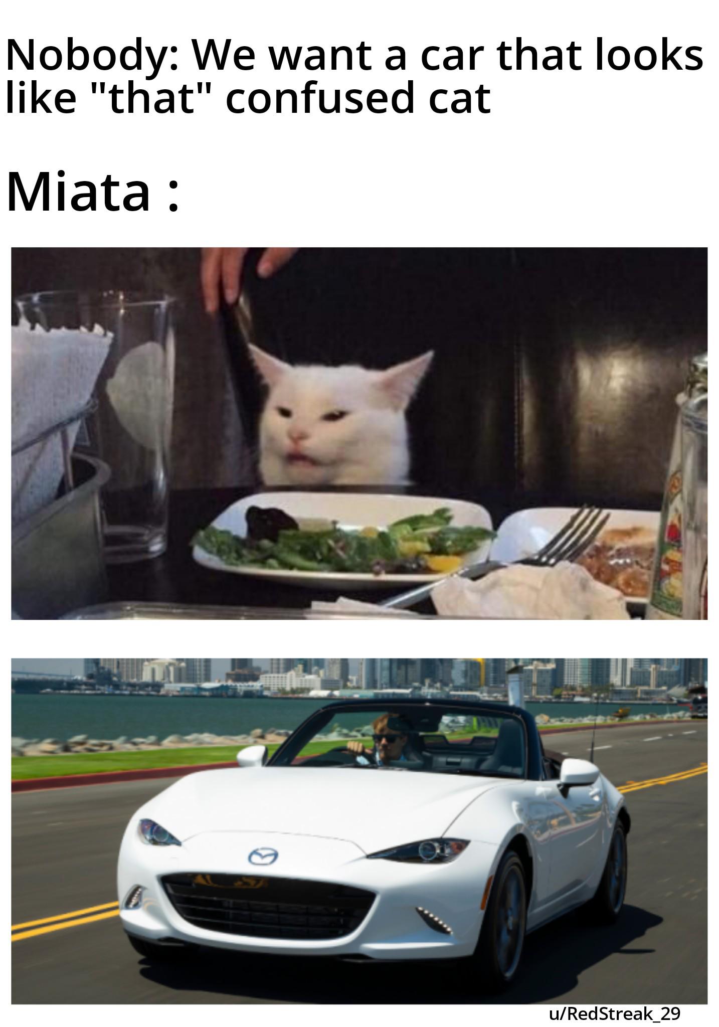 Aerodynamic? Yes. Emotionally Stable? Absolutely not. | /r/memes | Know ...