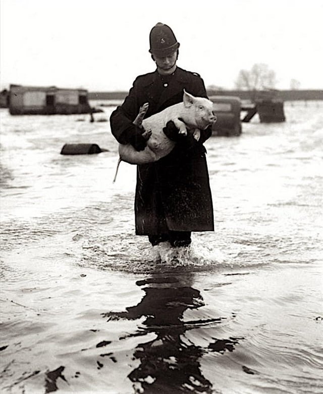 1953 North Sea flood | History / Nostalgia | Know Your Meme