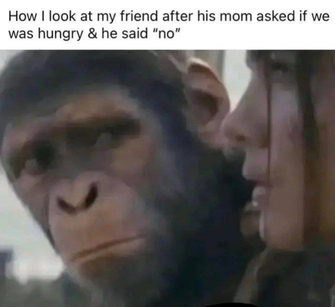 Look at me | /r/memes | Know Your Meme