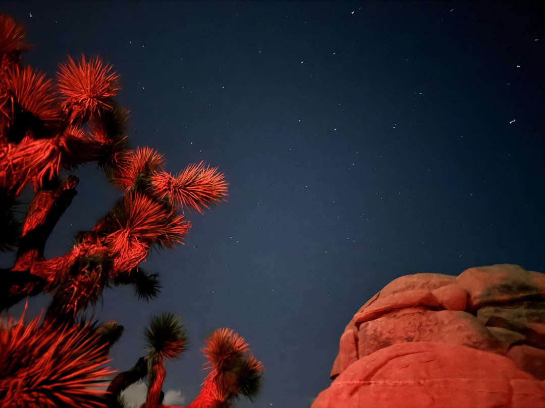 Joshua Tree national park | Know Your Meme