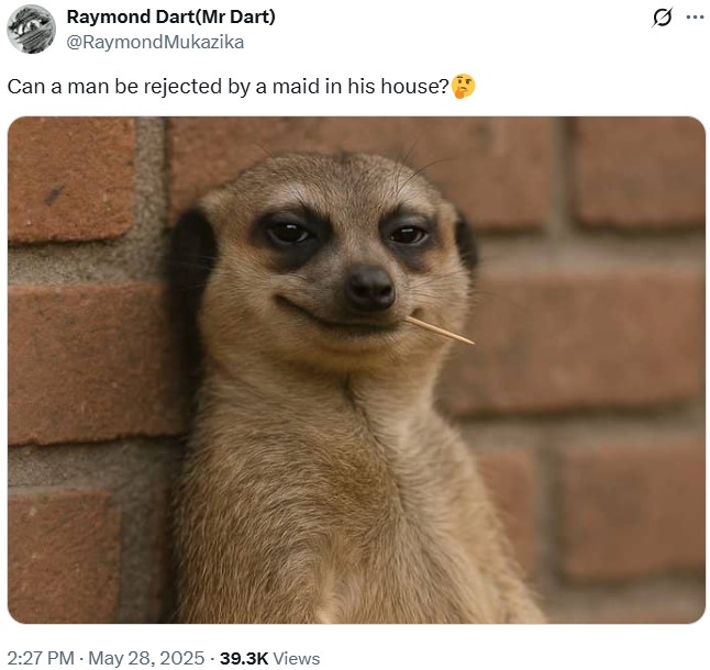Can a man be rejected by a maid in his house?🤔 | Meerkat With a ...
