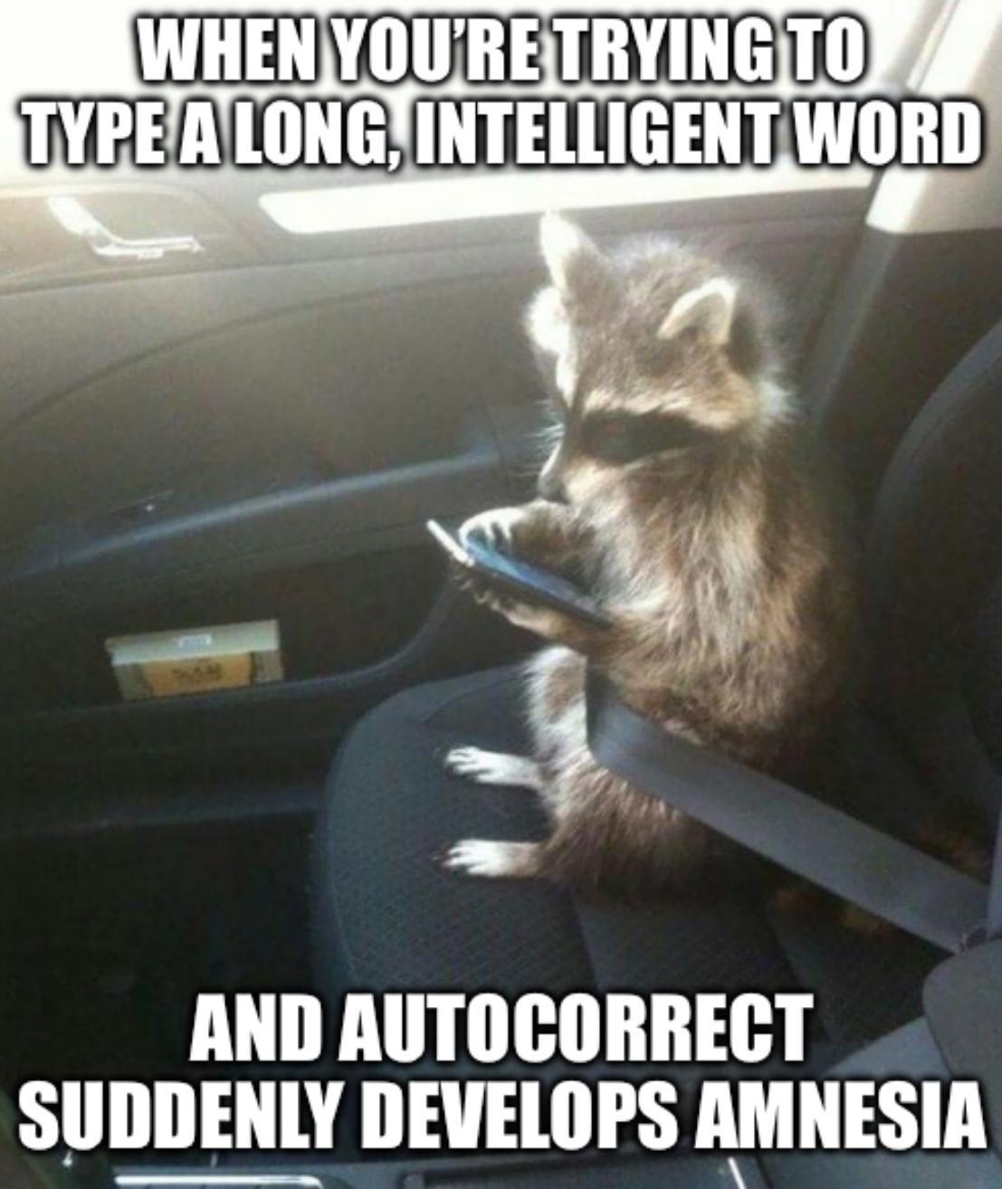 Autocorrect: I’ve never seen that word in my life. | /r/memes | Know ...