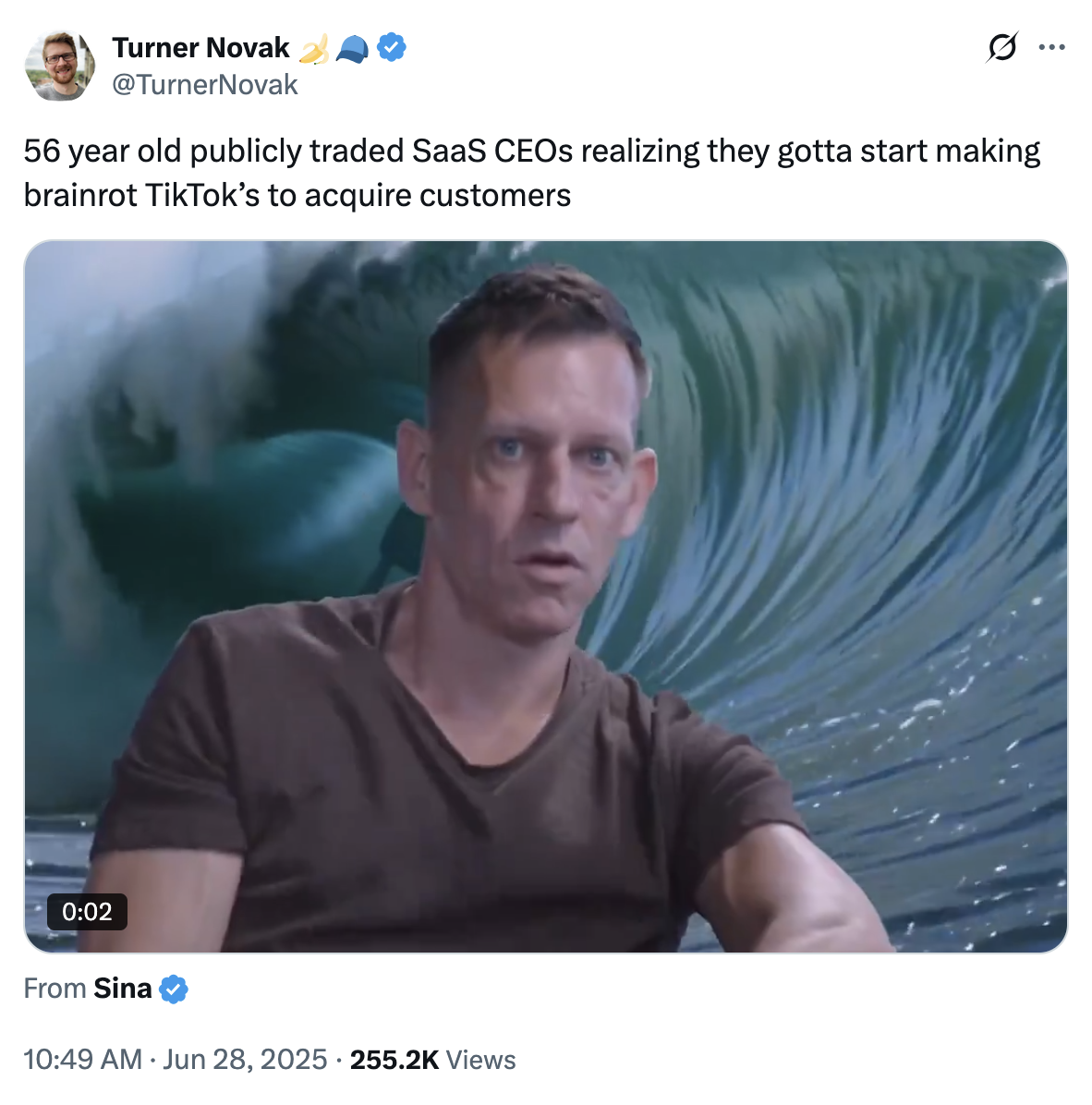 June 28th, 2025 tweet by @TurnerNovak | Peter Thiel Wave | Know Your Meme