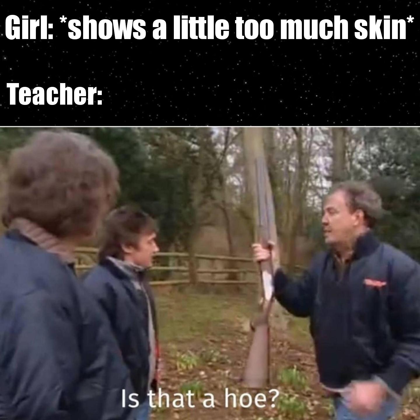 Is that a hoe? | /r/memes | Know Your Meme