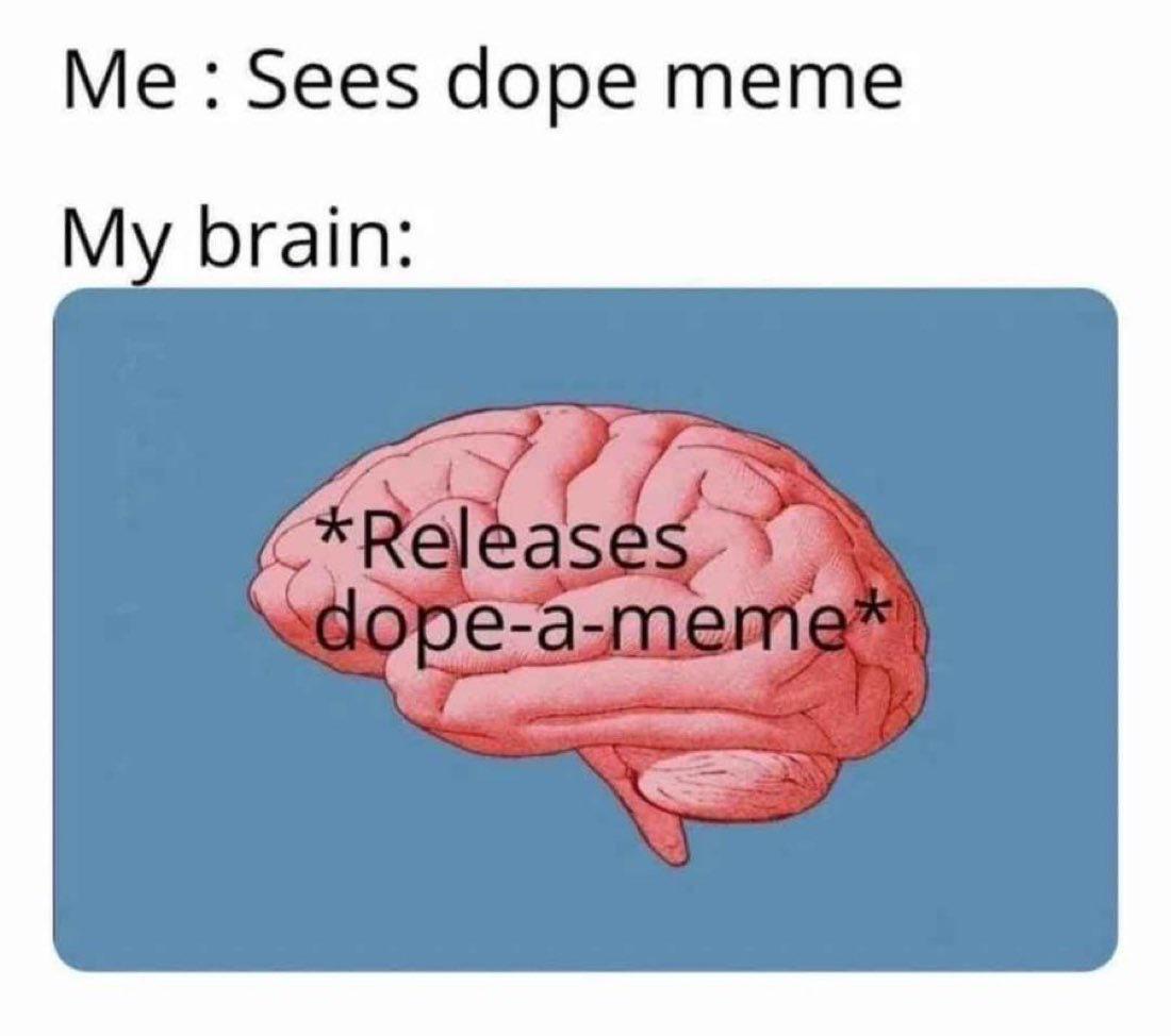 That’s dope | /r/memes | Know Your Meme