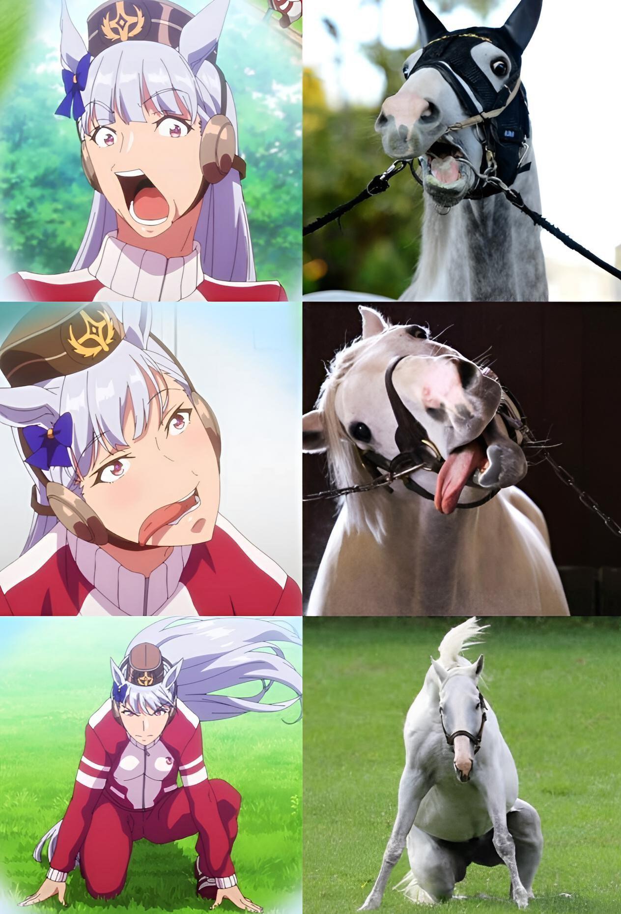 Gold Ship in the anime vs the real life horse that inspired the ...