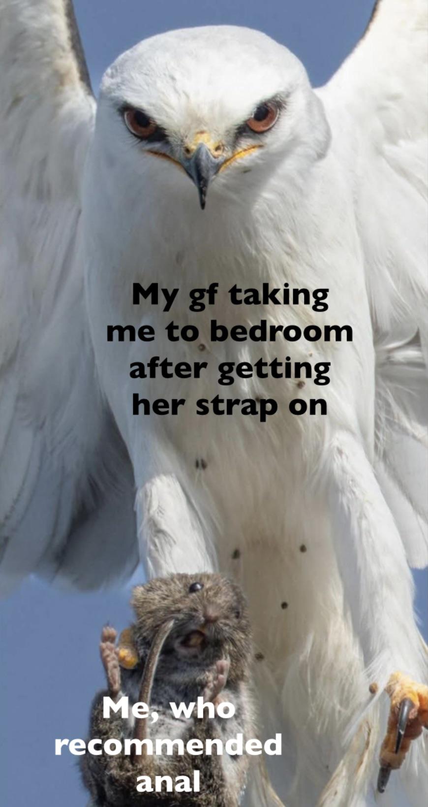 Wait, that’s not what I meant | /r/memes | Know Your Meme