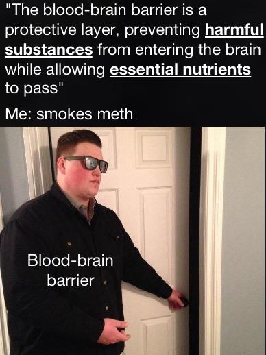 Thank you, blood-brain barrier. Very cool | /r/dankmemes | Know Your Meme