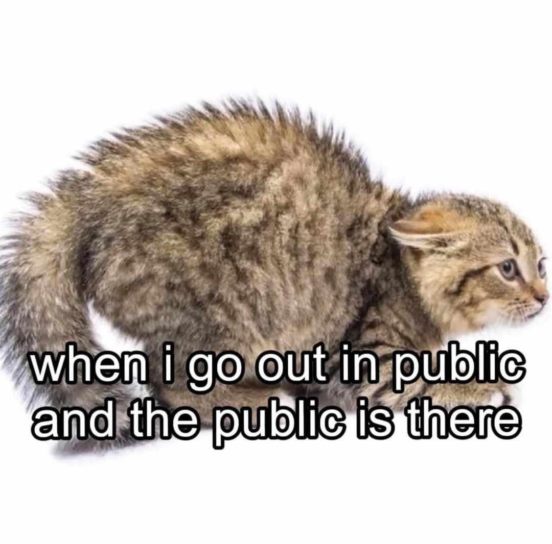 Everyone go home | Know Your Meme