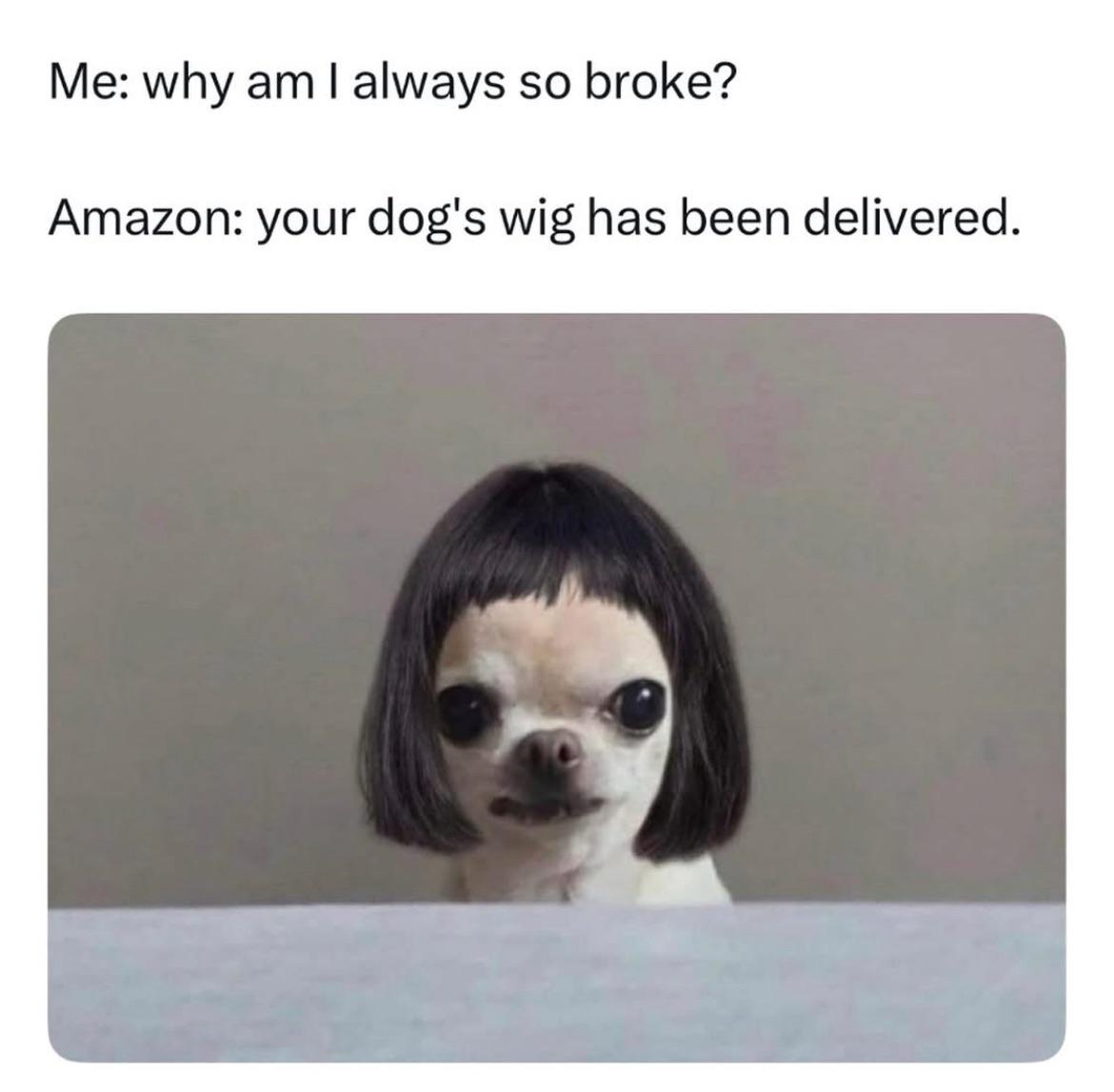 She needed the wig, ok? | /r/memes | Know Your Meme