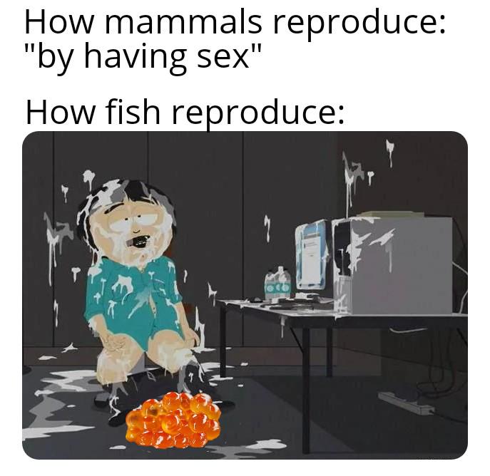 It doesn't sound that exciting | /r/dankmemes | Know Your Meme